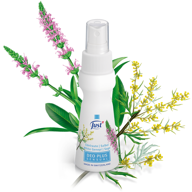 Deo Plus Sensual Salbei - Edelraute - Deos - Just - Naturprodukte